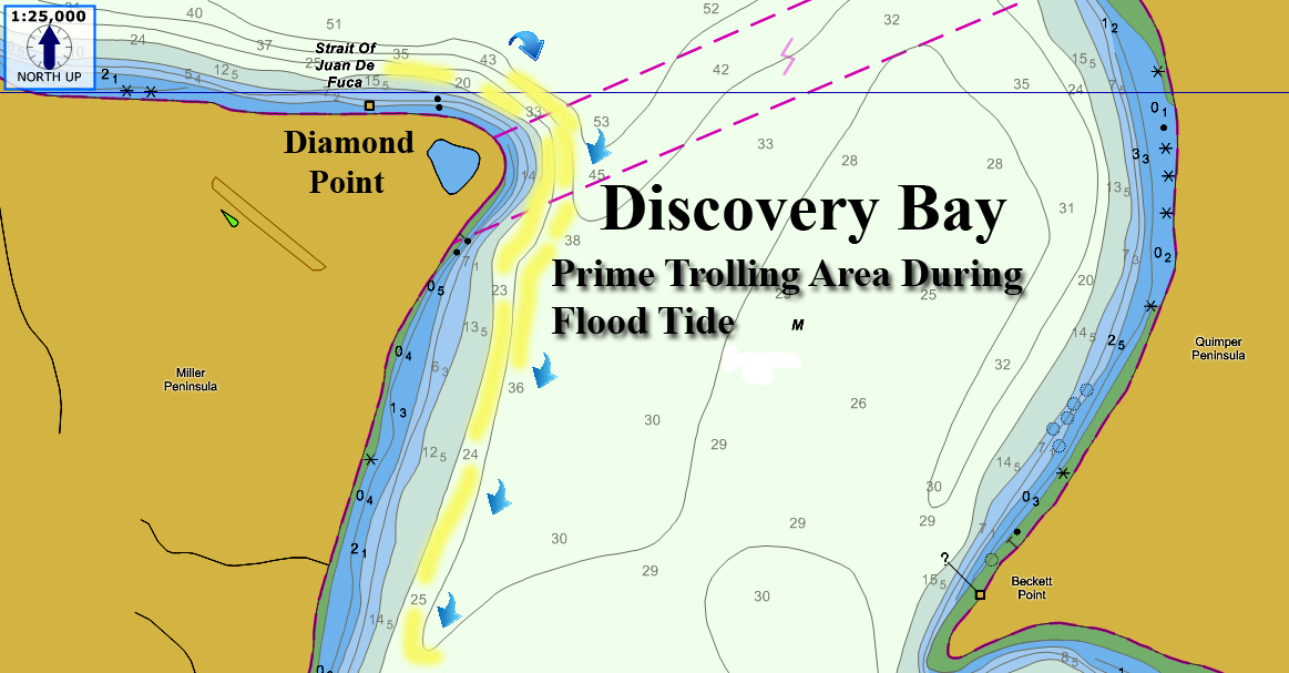 How to Fish Diamond Point Inside Discovery Bay | SquidPro Tackle's ...