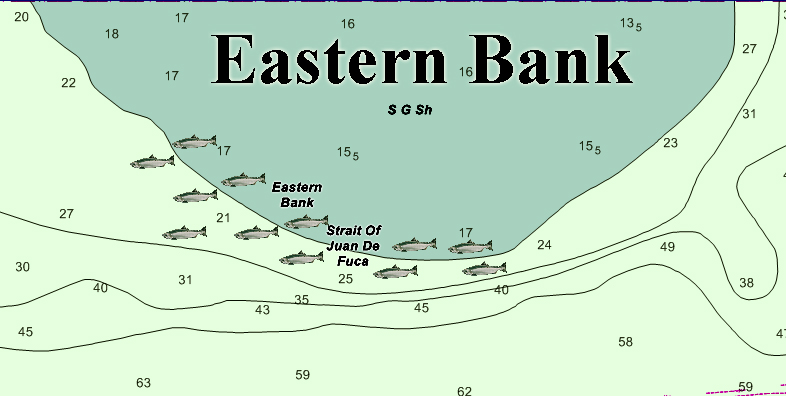 Eastern Bank Salmon Fishing Map | SquidPro Tackle's Salmon Chronicles