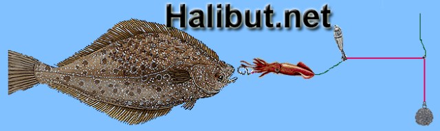 How to Catch Blackmouth in Sekiu. Area 5 Caves Fishing Map | SquidPro ...