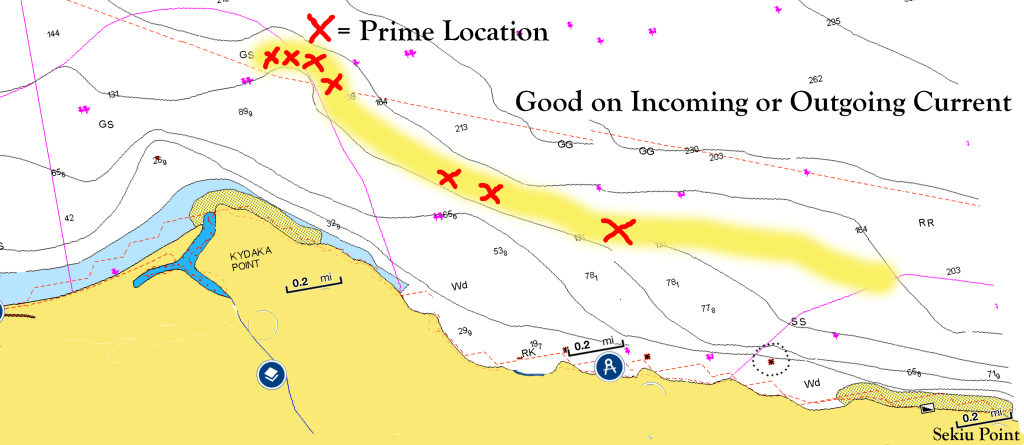 How to Catch Blackmouth in Sekiu. Area 5 Caves Fishing Map | SquidPro ...